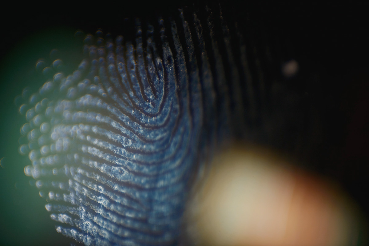 Forensic Lab Monitoring: Precision and Evidence Integrity