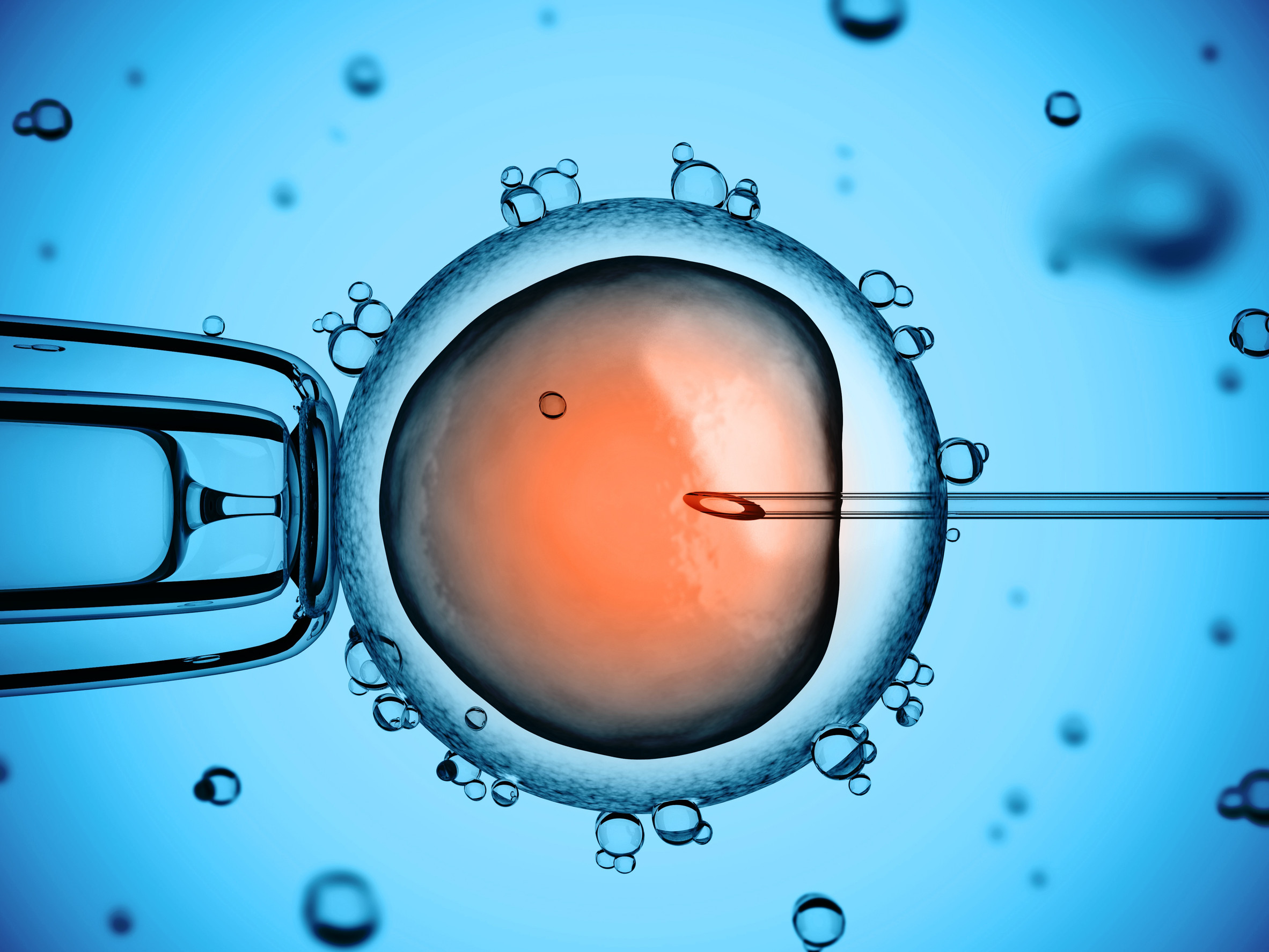 Why IVF Labs Need Environmental Monitoring Systems
